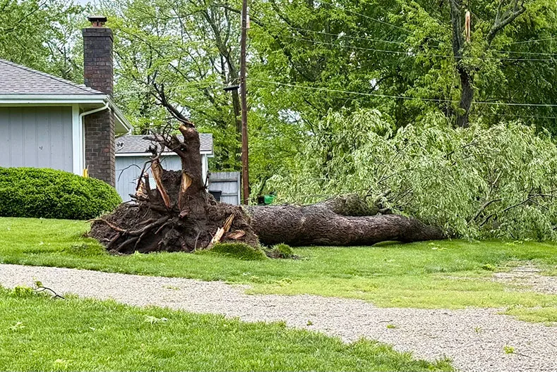 Johnson County rainfall totals after 'another doozy' of a storm