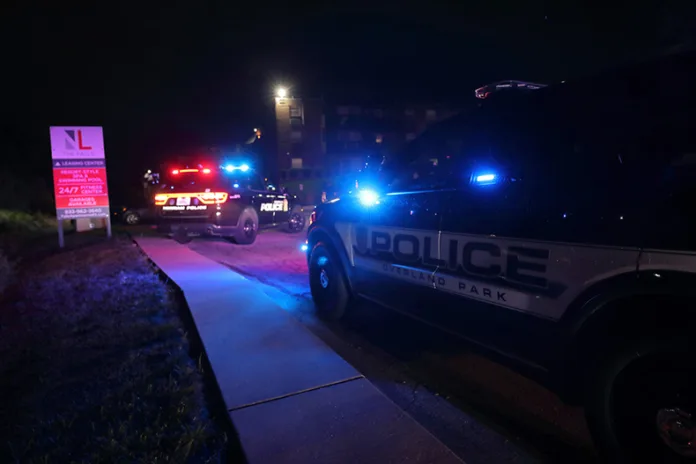 Man arrested after allegedly attacking 2 at apartment pool